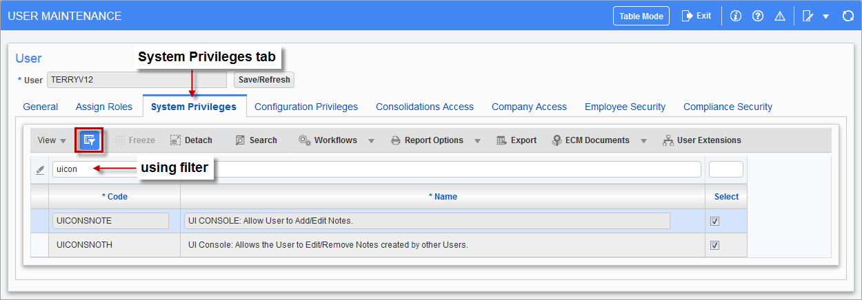 UI Console - System Privileges - Tab